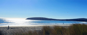 Things To Do | The Official Bodega Bay Area Website