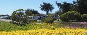 Things To Do | The Official Bodega Bay Area Website
