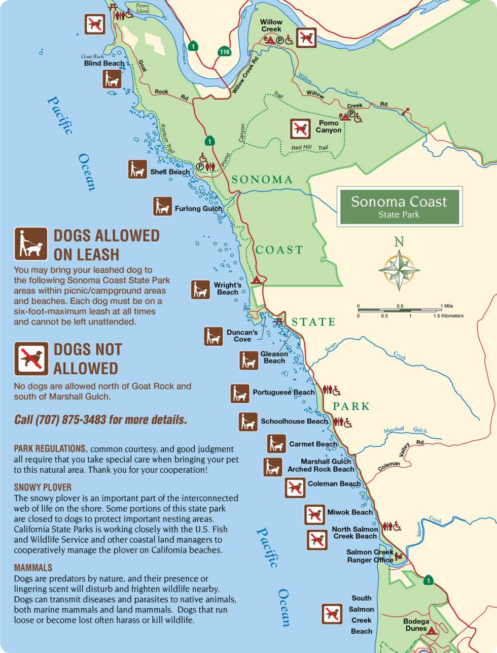 Bodega Bay Area Activities | Things To Do | Camping | Parks | Shopping