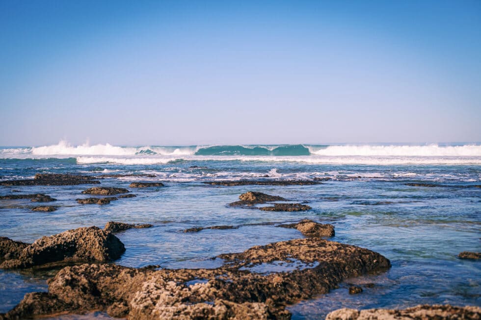 Exploring the Tide Pools of the Sonoma Coast | The Official Bodega Bay ...