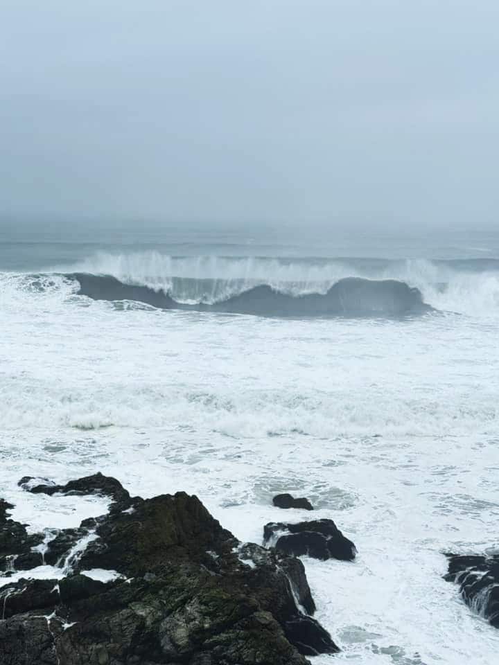 The Official Bodega Bay Area Website - The Official Bodega Bay Area Website