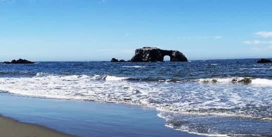 The Official Bodega Bay Area Website - The Official Bodega Bay Area Website