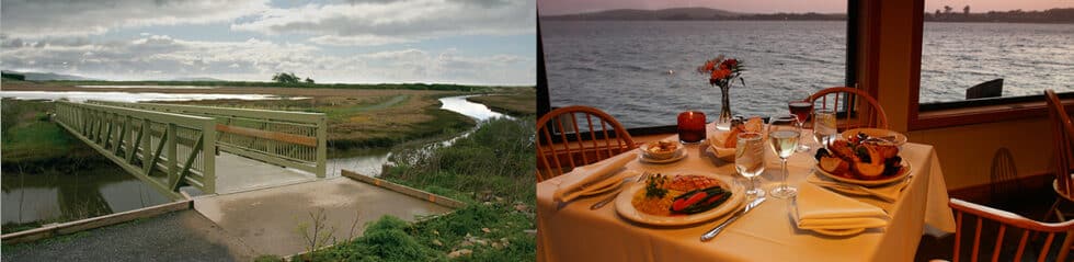 Bodega Bay in June: A Coastal Paradise of Adventure, Relaxation, and ...