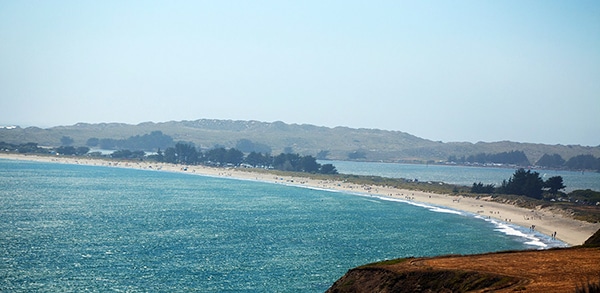 Winging It Wednesday @ Doran Regional Park | The Official Bodega Bay ...