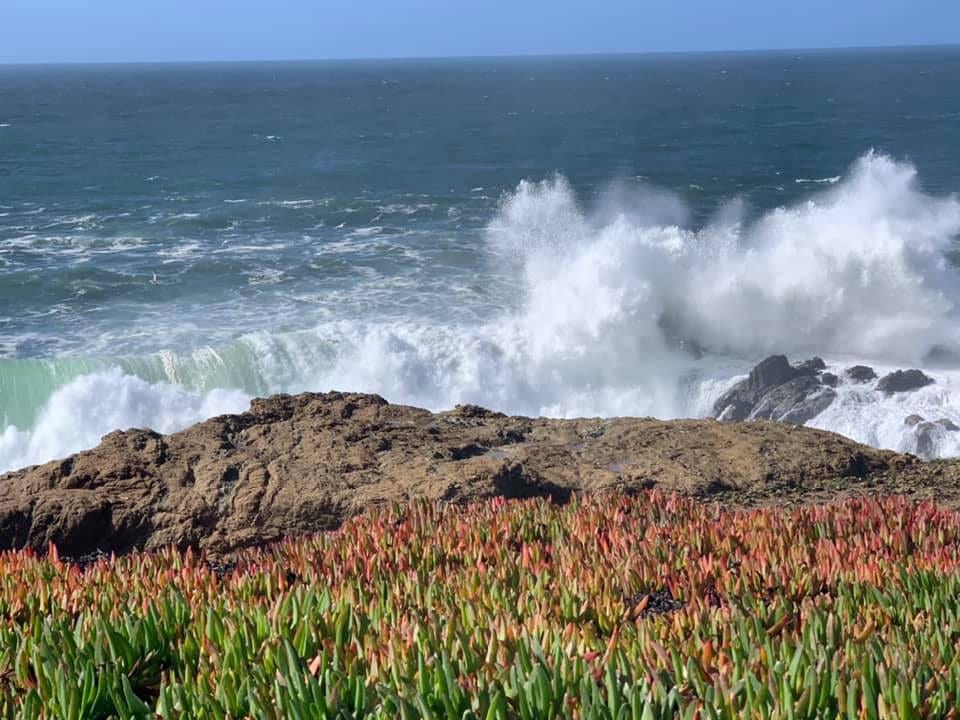 September in Bodega Bay: When Nature Puts on Its Best Show