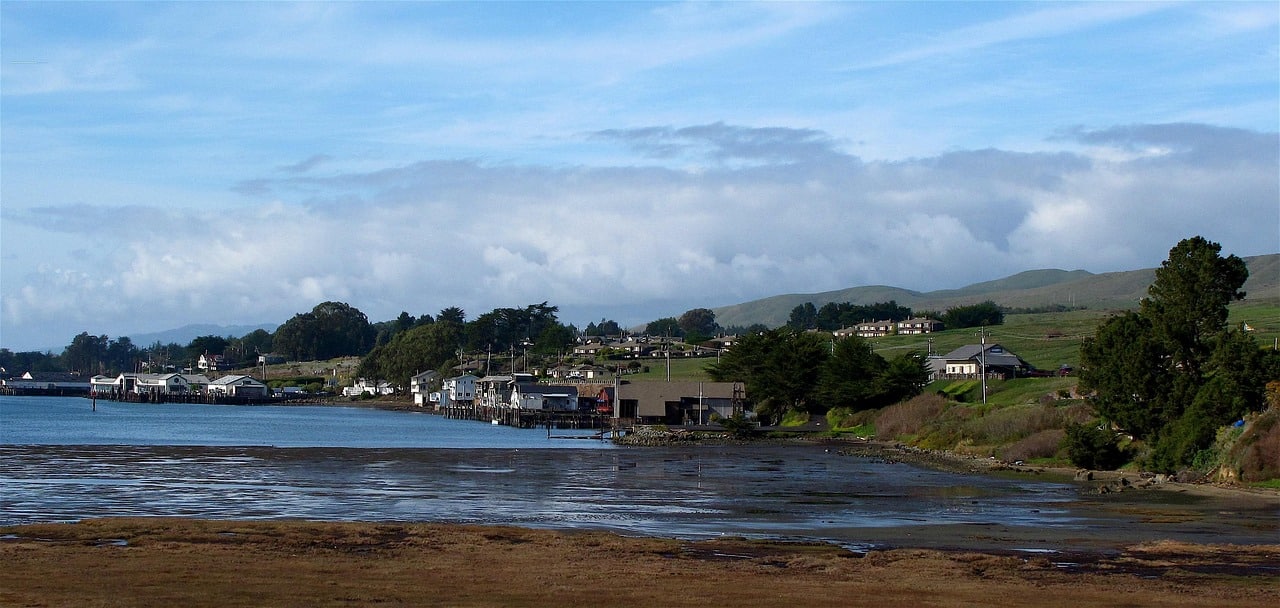 Bodega Bay Is a Great Place to Live - Just Ask the Locals